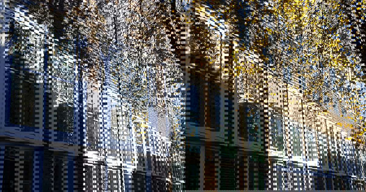 Nova College Vavo Haarlem